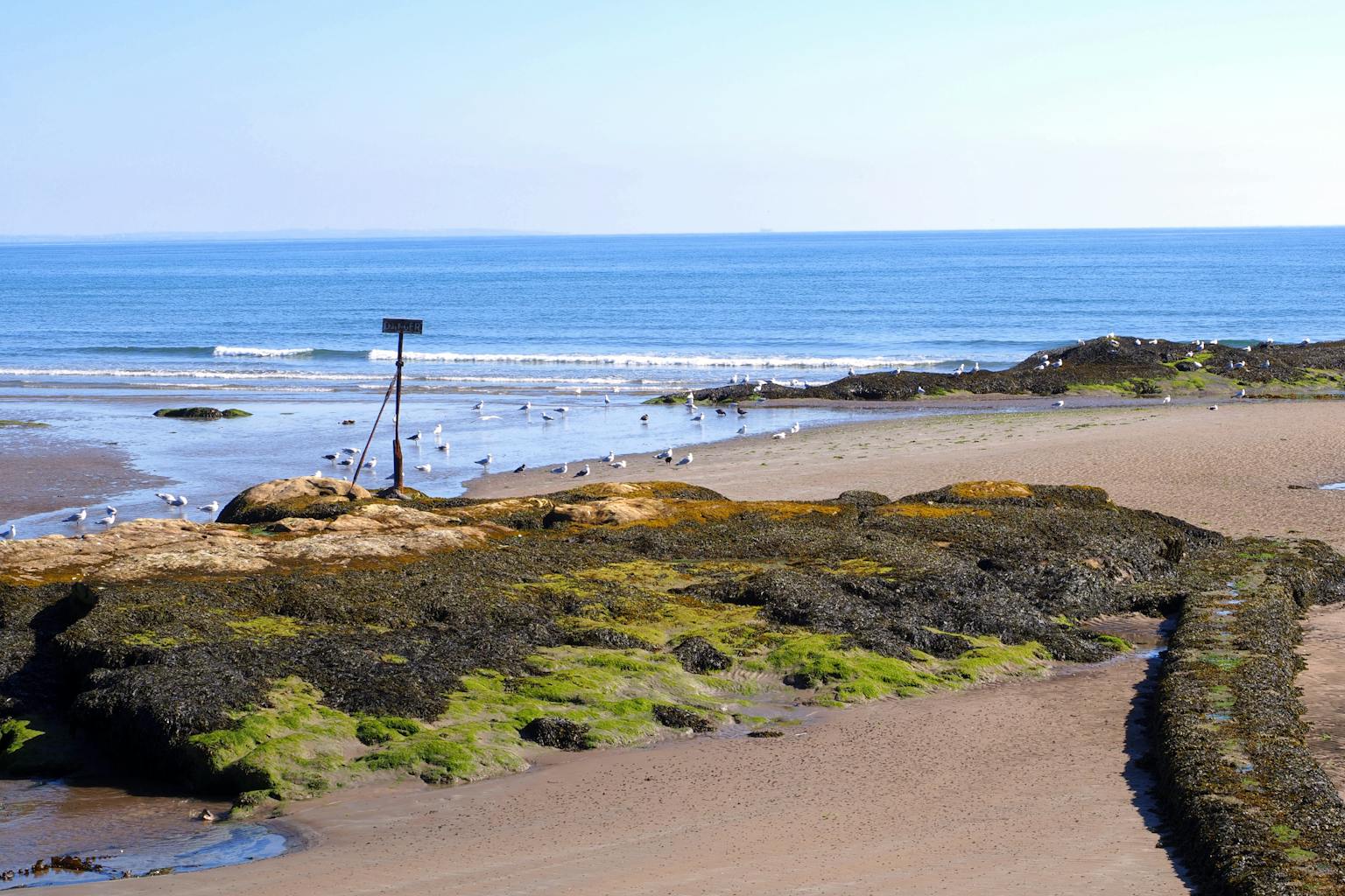 33 Best Things To Do Edinburgh in March: Weather, Events & Tips